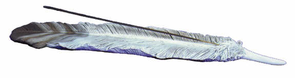 #2341 Feather Ash Catcher 14" – CeramicShop.com