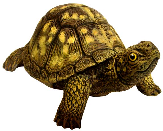#2945 Box Turtle (large) 6 1-2" – CeramicShop.com